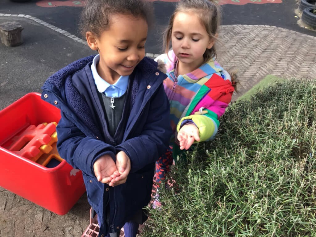 Reception - Springwell Village Primary School